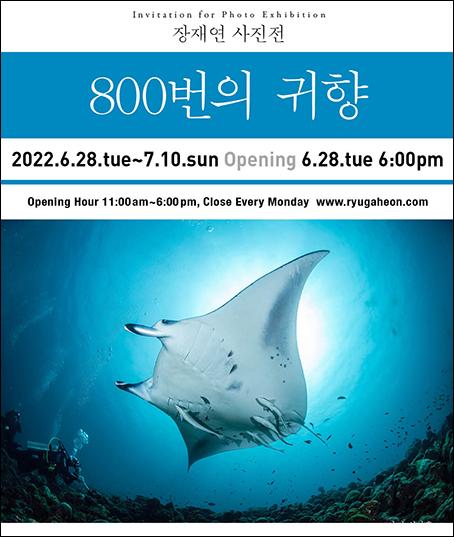 장재연 사진전 ‘800번의 귀향 개최 